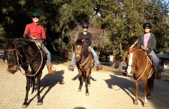 board - The Jean Kvamme Center for Adaptive Riding